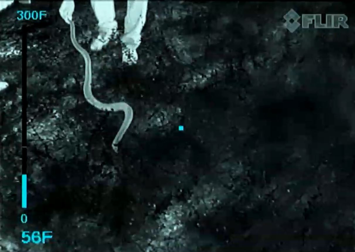 flir python | FWS.gov