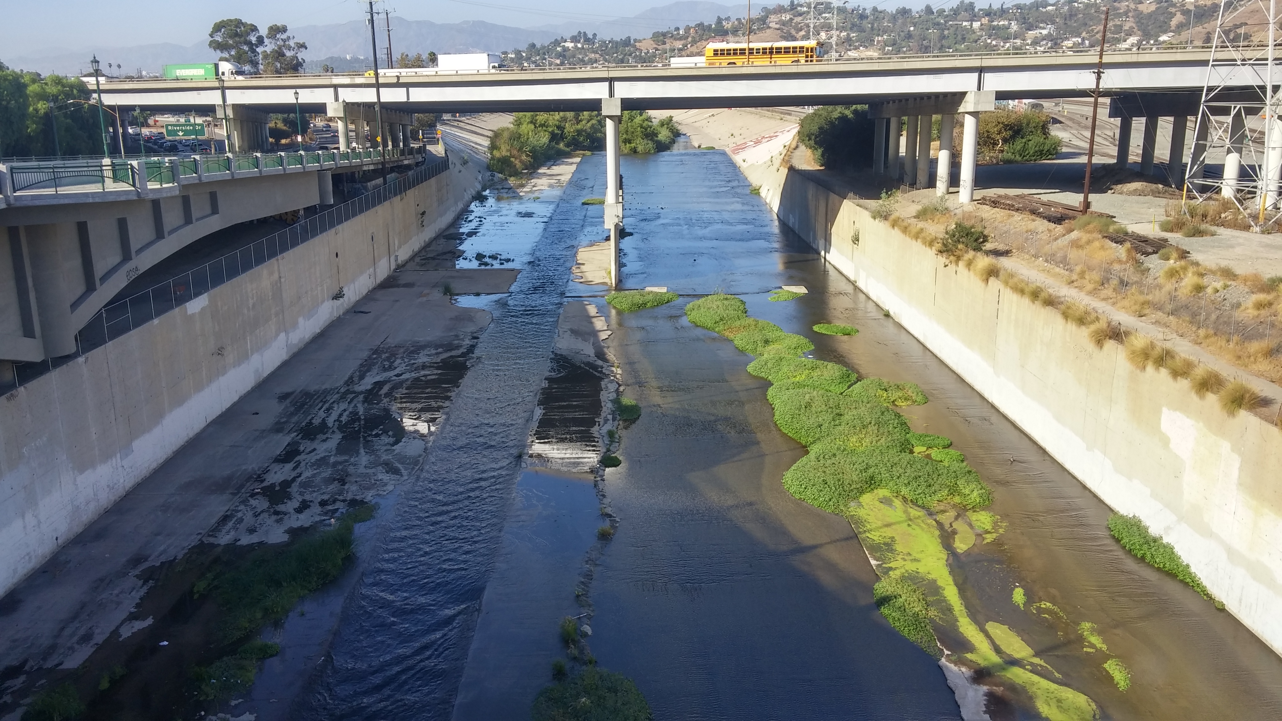 Transition Channel | FWS.gov