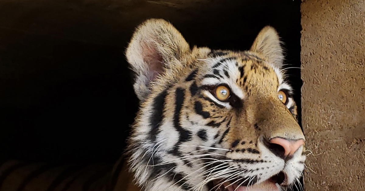 Moka's journey | U.S. Fish & Wildlife Service