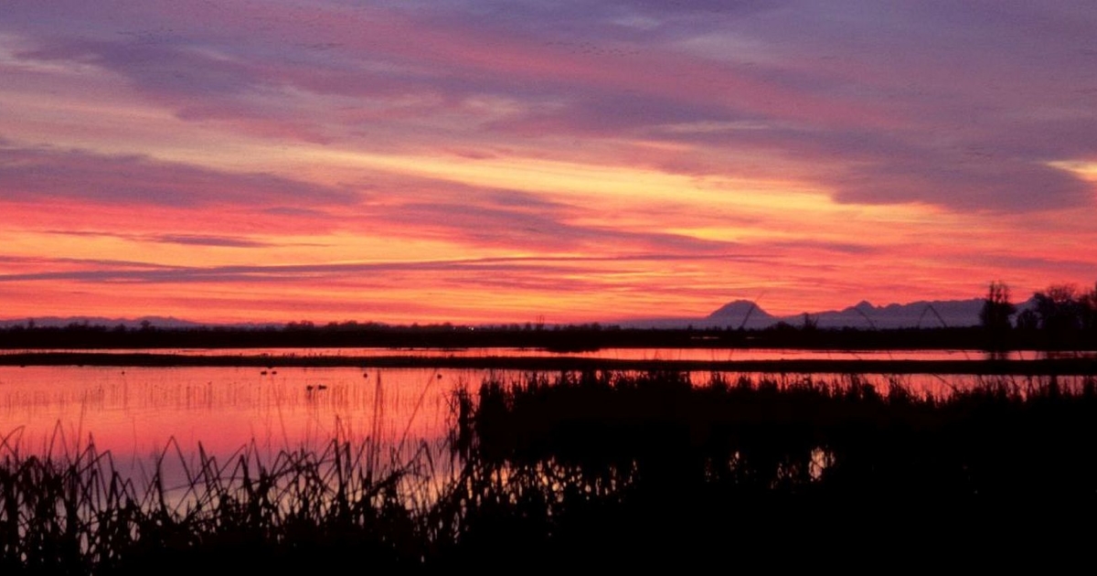 Pacific Southwest Region Section 7 Consultation | U.S. Fish & Wildlife ...