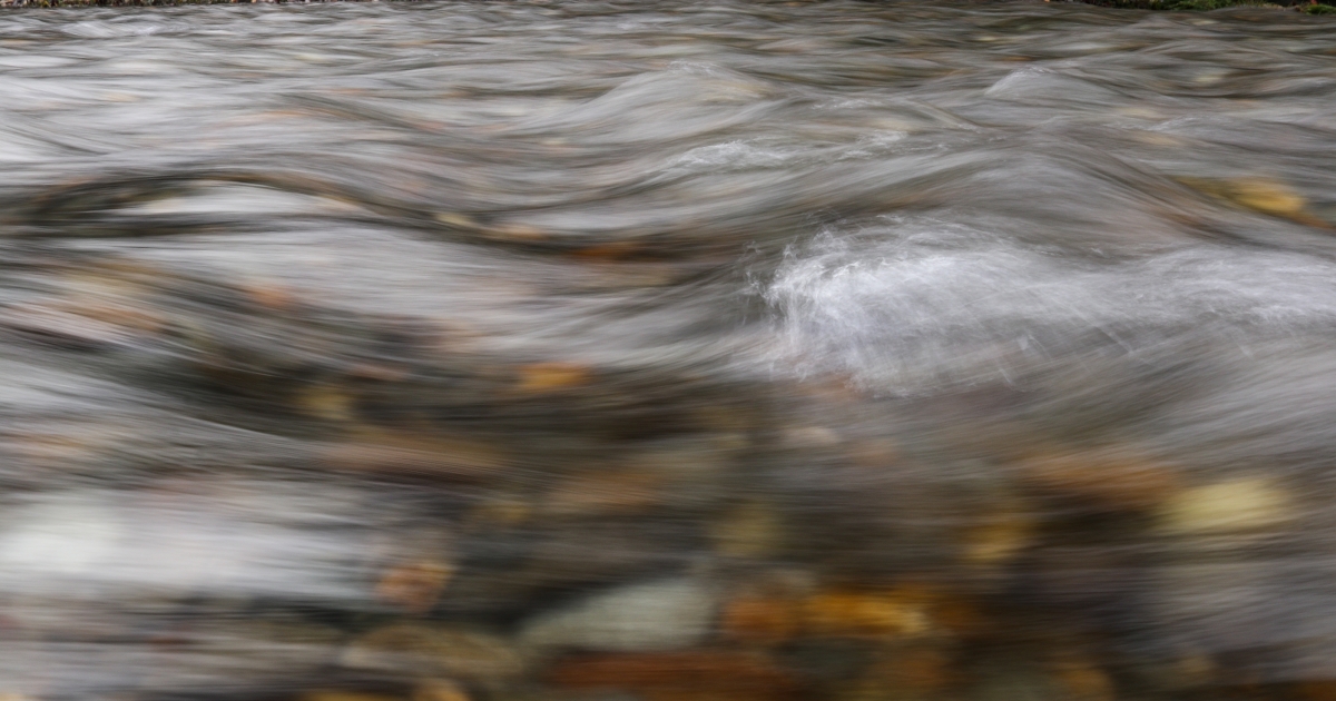 Complete - Decision on listing the pyramid pigtoe (Pleurobema rubrum ...