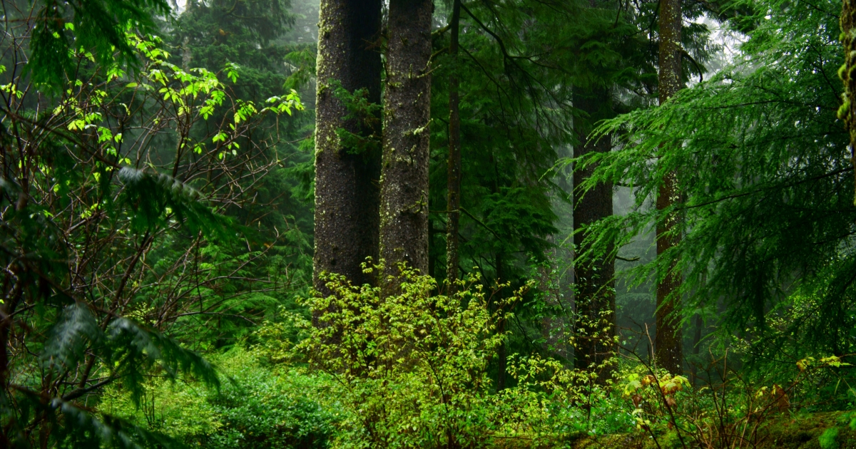 Arcata SHC Staff | U.S. Fish & Wildlife Service