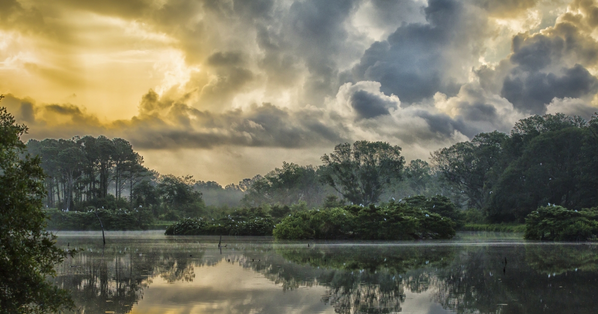 Harris Neck National Wildlife Refuge | U.S. Fish & Wildlife Service
