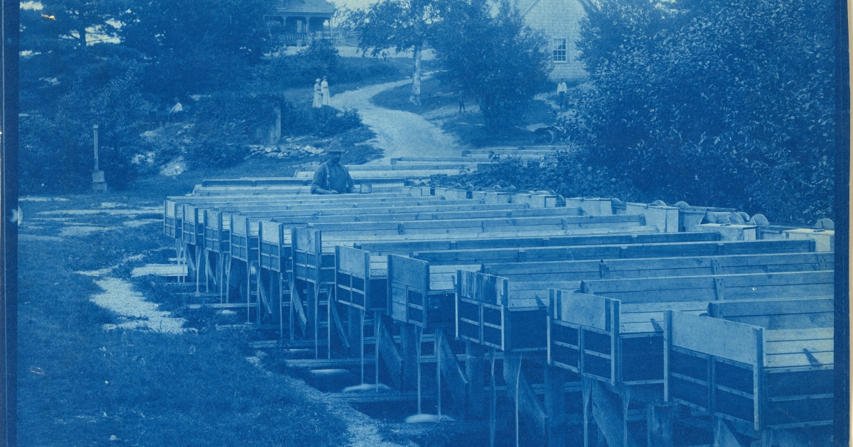 National Fish and Aquatic Conservation Archives | U.S. Fish & Wildlife ...