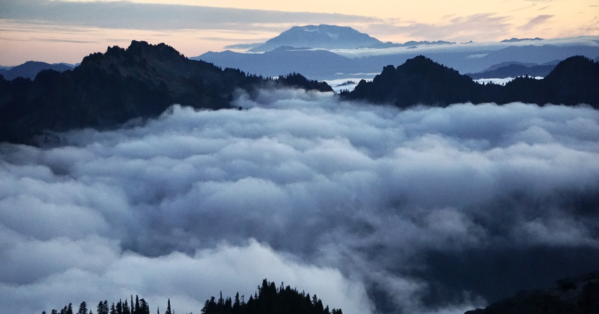 Washington Section 7 Consultation: Technical Assistance and Guidance ...