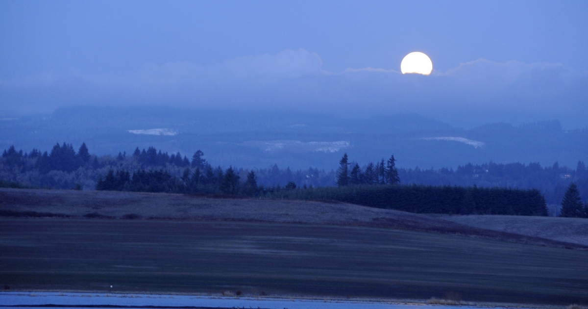 FOIA Reading Room | U.S. Fish & Wildlife Service