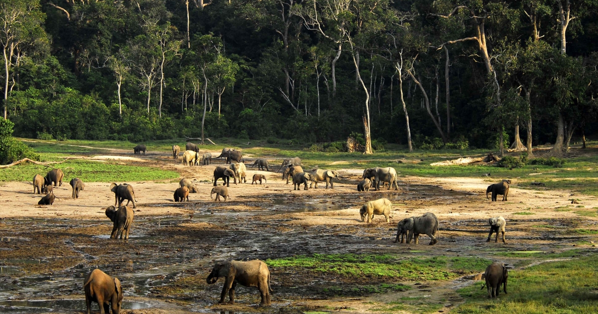 International Affairs | U.S. Fish & Wildlife Service