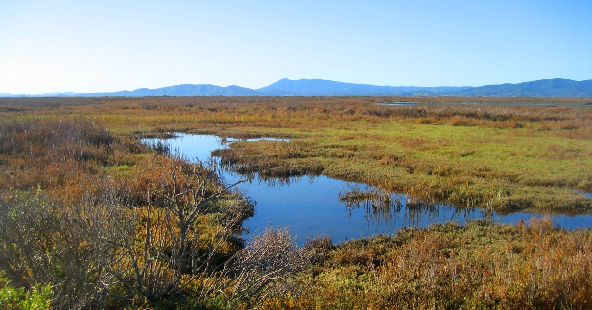 San Pablo Bay National Wildlife Refuge | U.S. Fish & Wildlife Service
