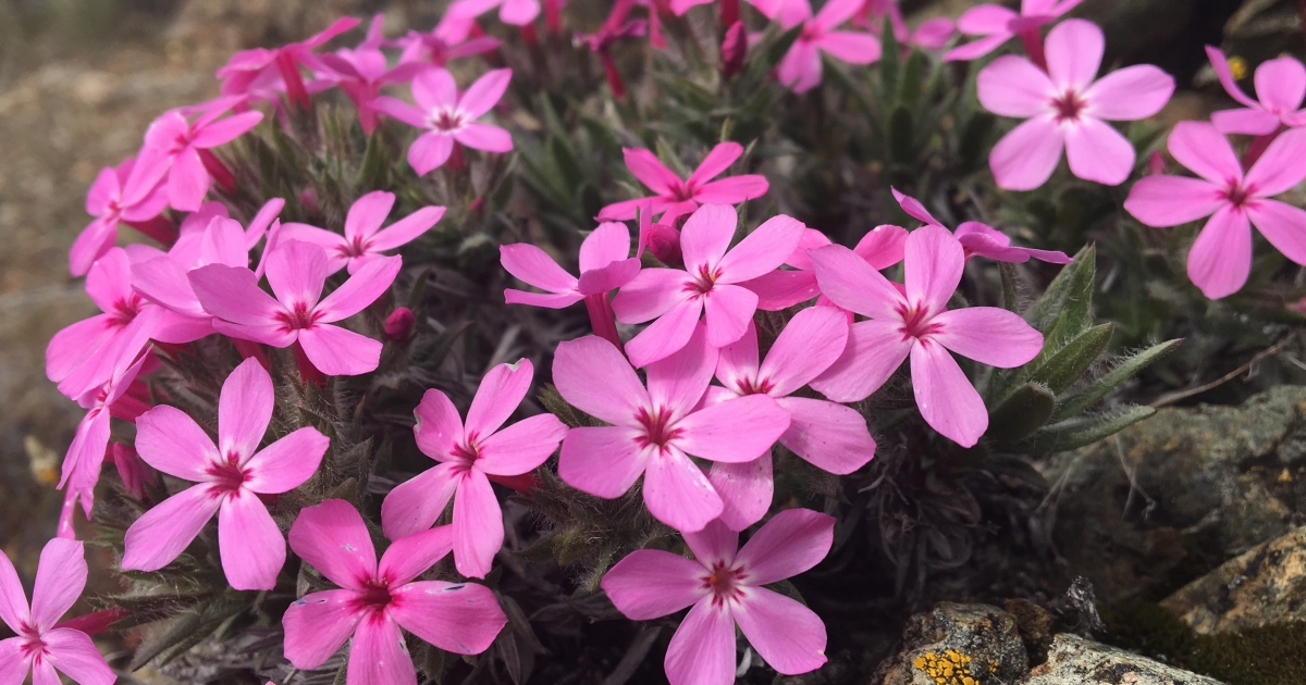 Pacific Southwest Region Field Office Jurisdictional Maps | U.S. Fish ...