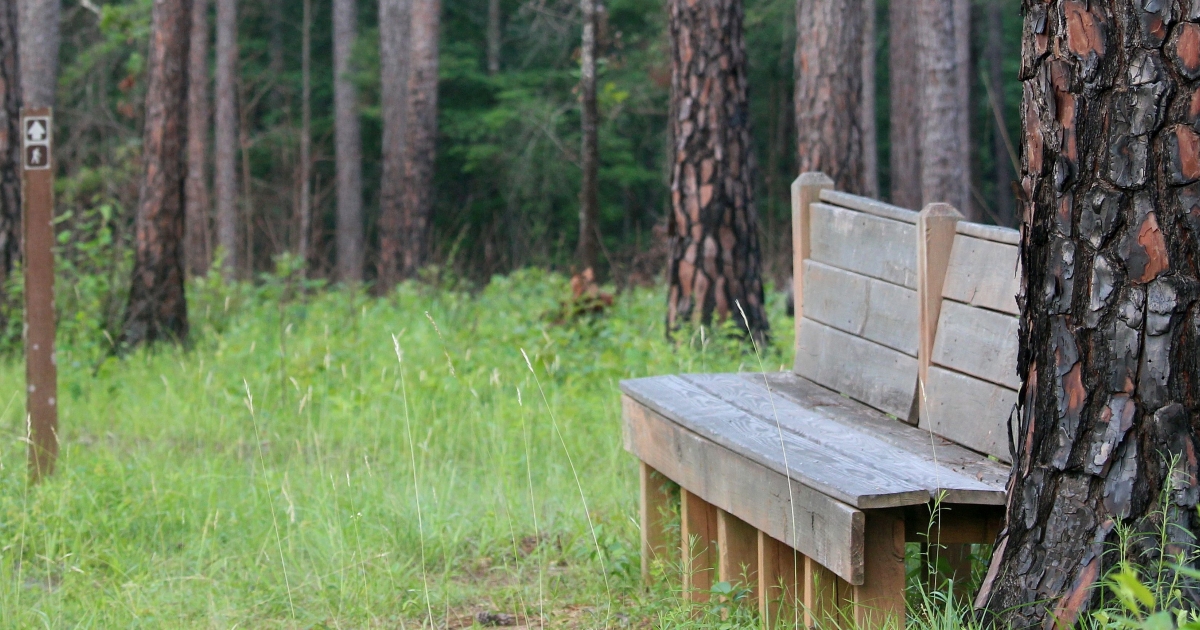 Piedmont National Wildlife Refuge | U.S. Fish & Wildlife Service