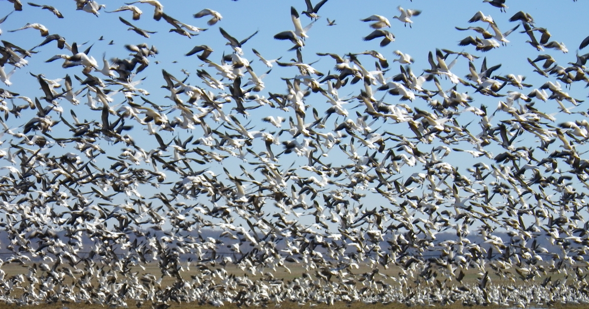 Office of Law Enforcement Training and Development Unit | U.S. Fish ...