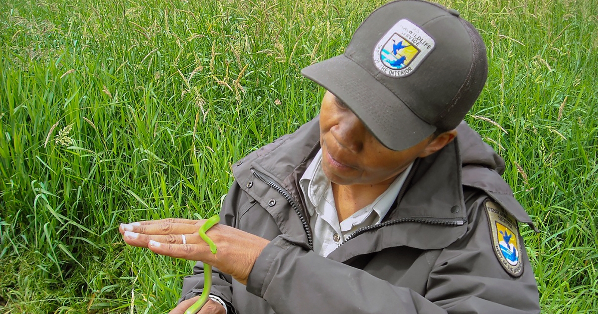 Gwen Kolb’s Mission Statement – Stewardship, Restoration and ...