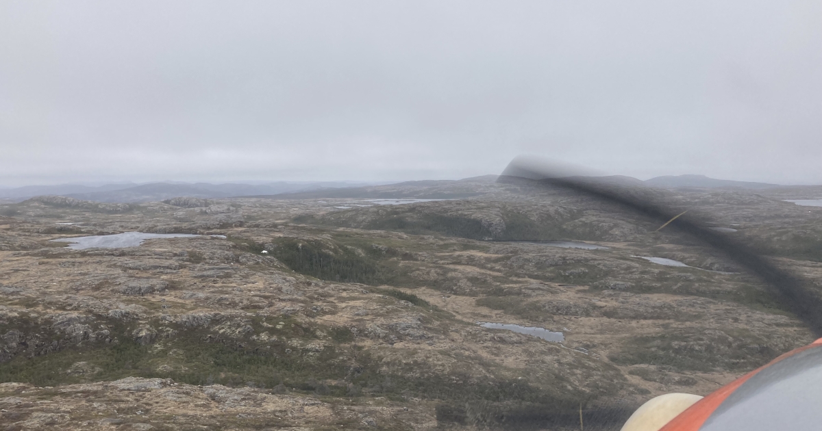 2023 WBPHS Field Report - Maine and Atlantic Canada Provinces | U.S ...