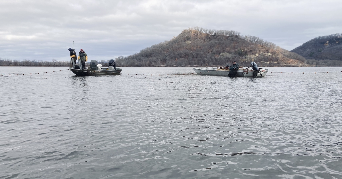 Please do not disturb me, I'm working! | U.S. Fish & Wildlife Service