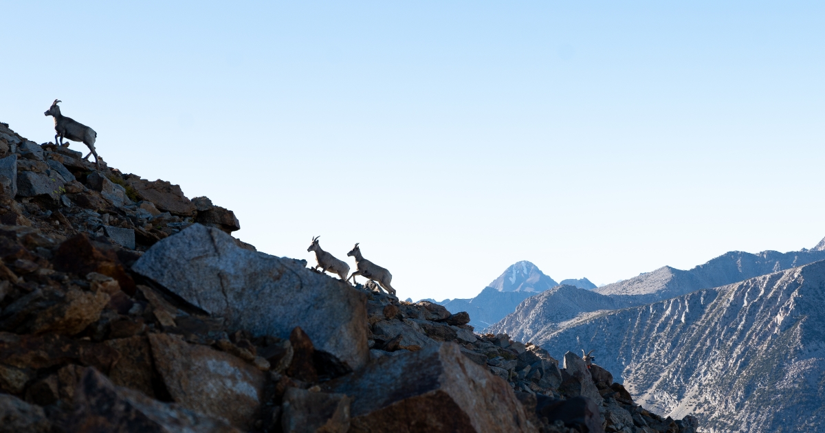 Reno Fish and Wildlife Office | U.S. Fish & Wildlife Service