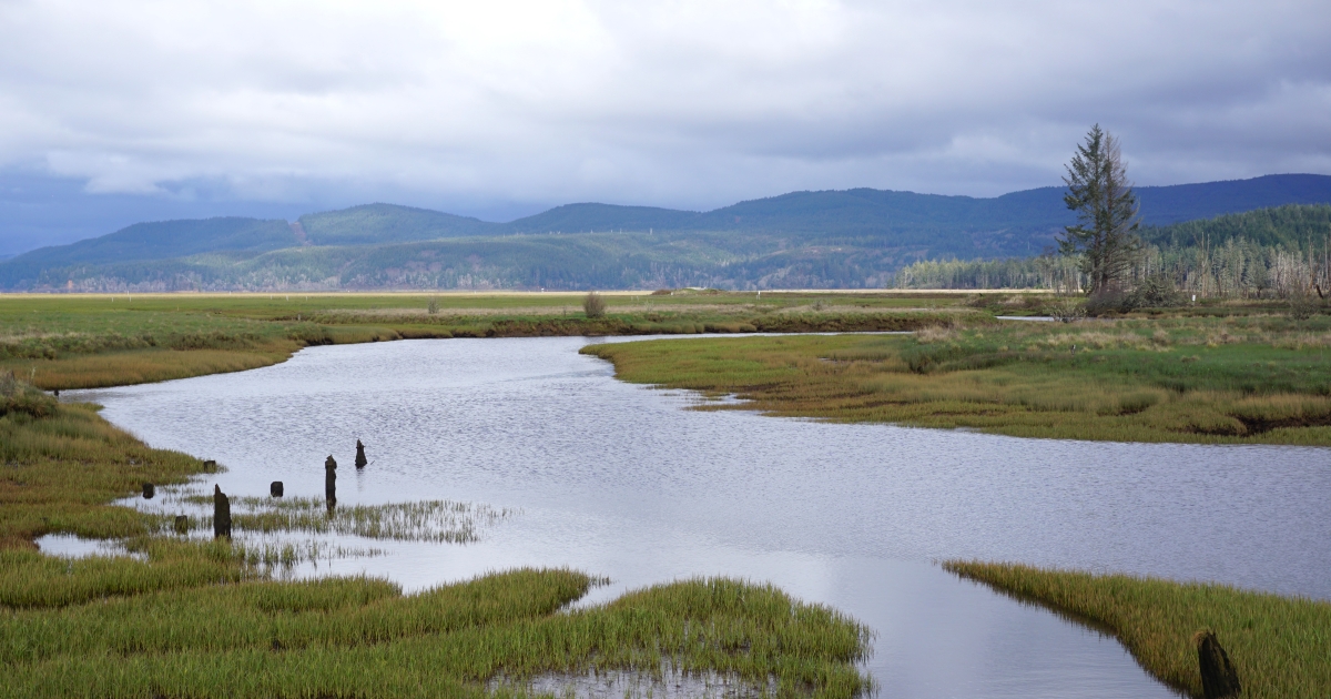 Pacific Region Leader Honored with DOI Award | U.S. Fish & Wildlife Service