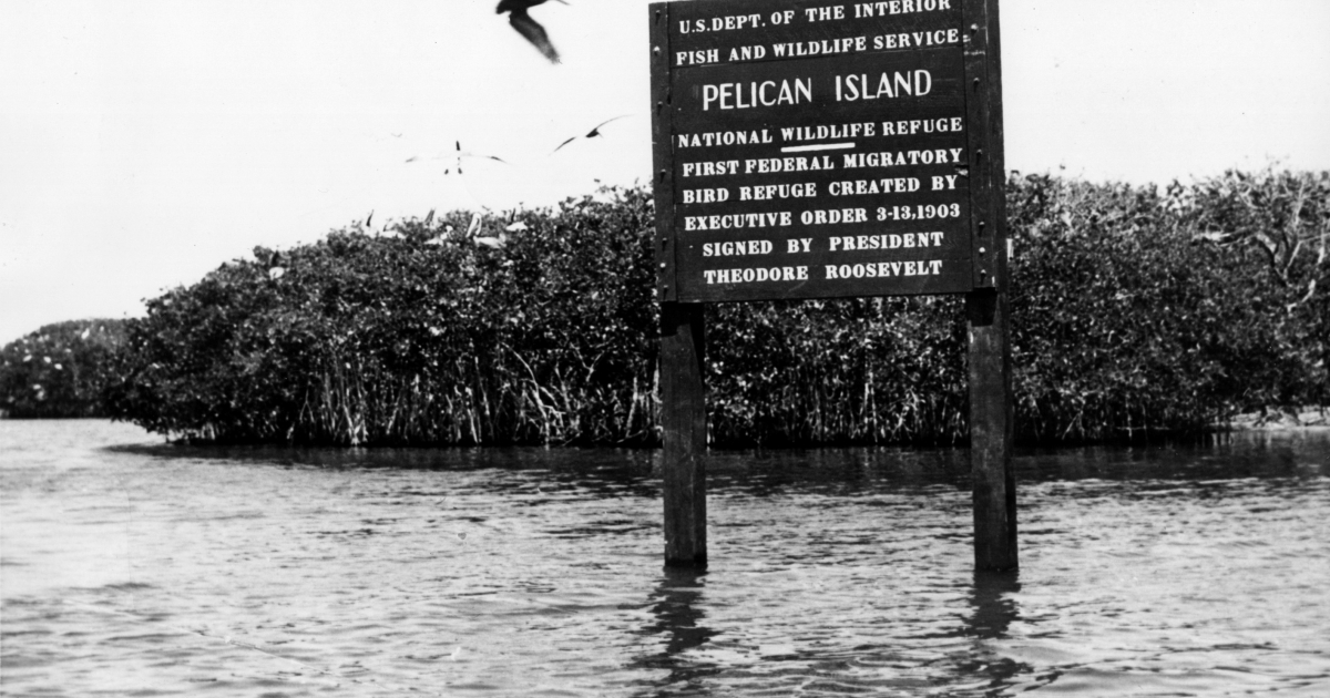 From Signatures to Sanctuaries: A Presidential Conservation Legacy | U ...