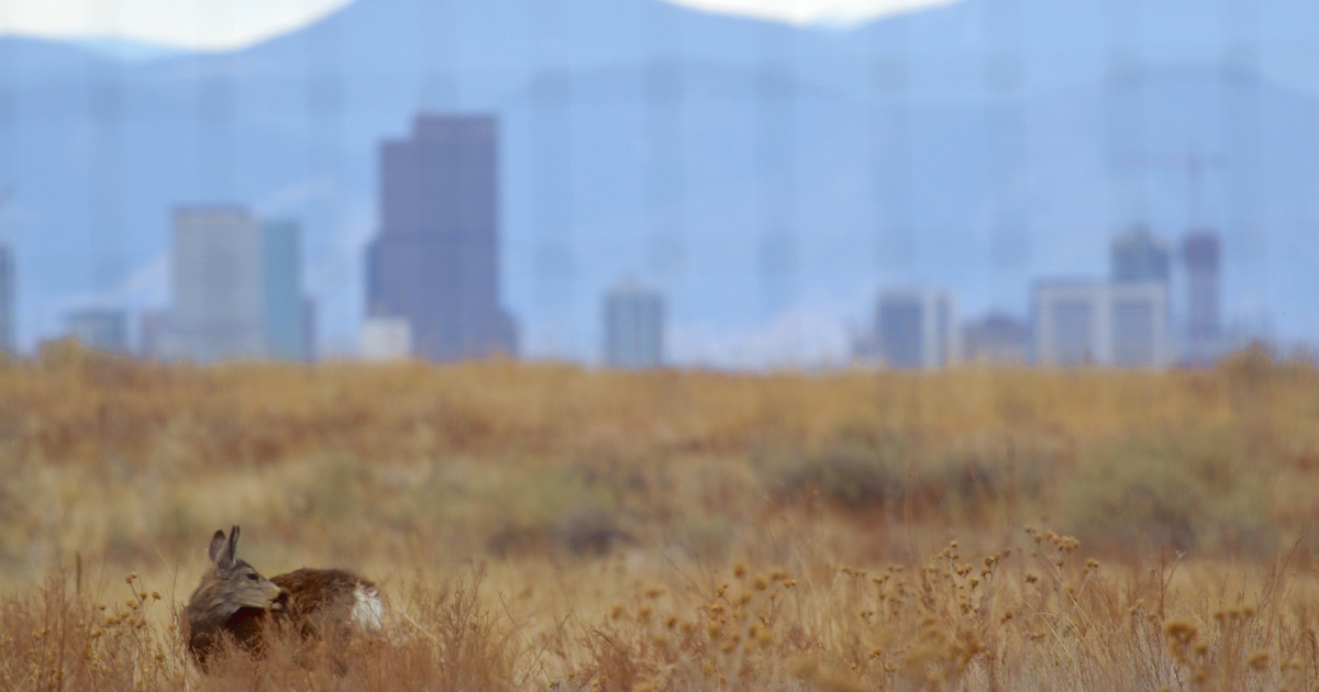 Employee Profile: Isis Rivera Lopez – Environmental Education ...