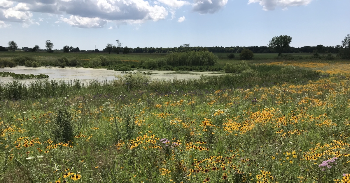 Great Lakes Pollinator Task Force | U.S. Fish & Wildlife Service