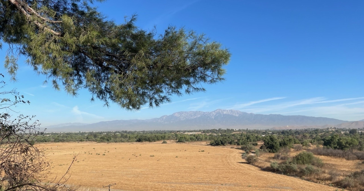 Celebrating the 20th Year of the Western Riverside County Multiple ...