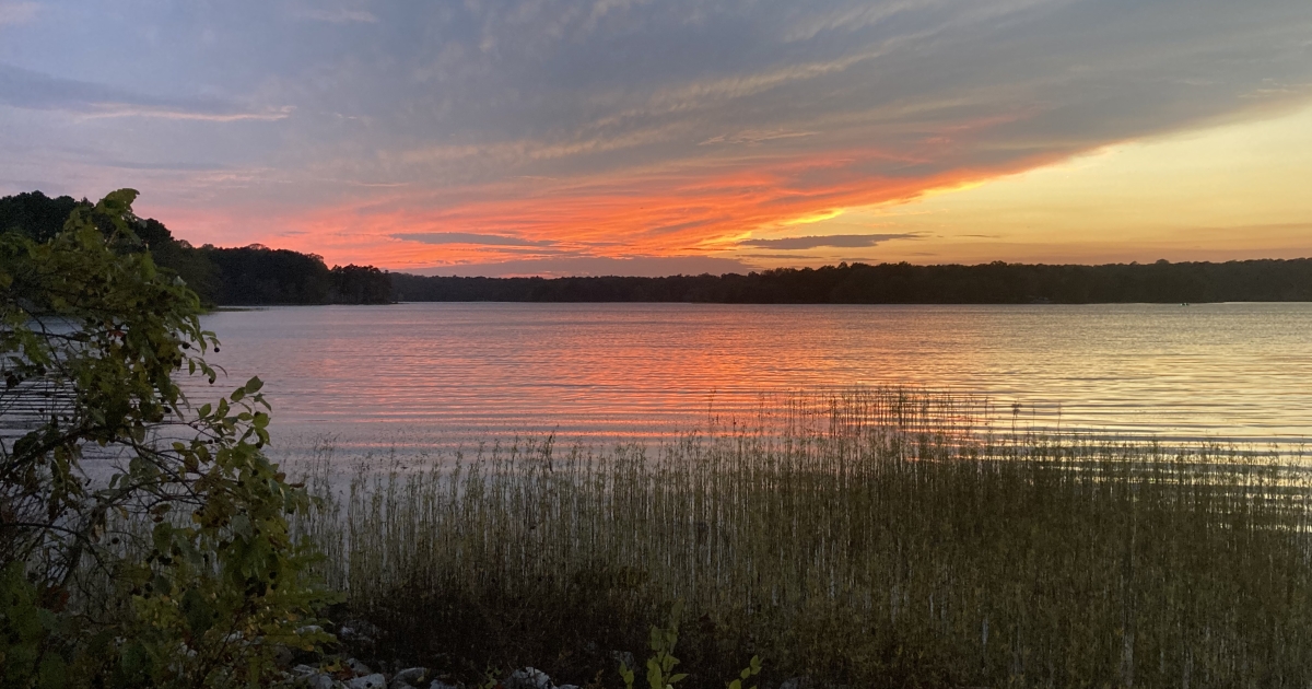 Improving Backbone Infrastructure and Visitor Experience at Crab ...