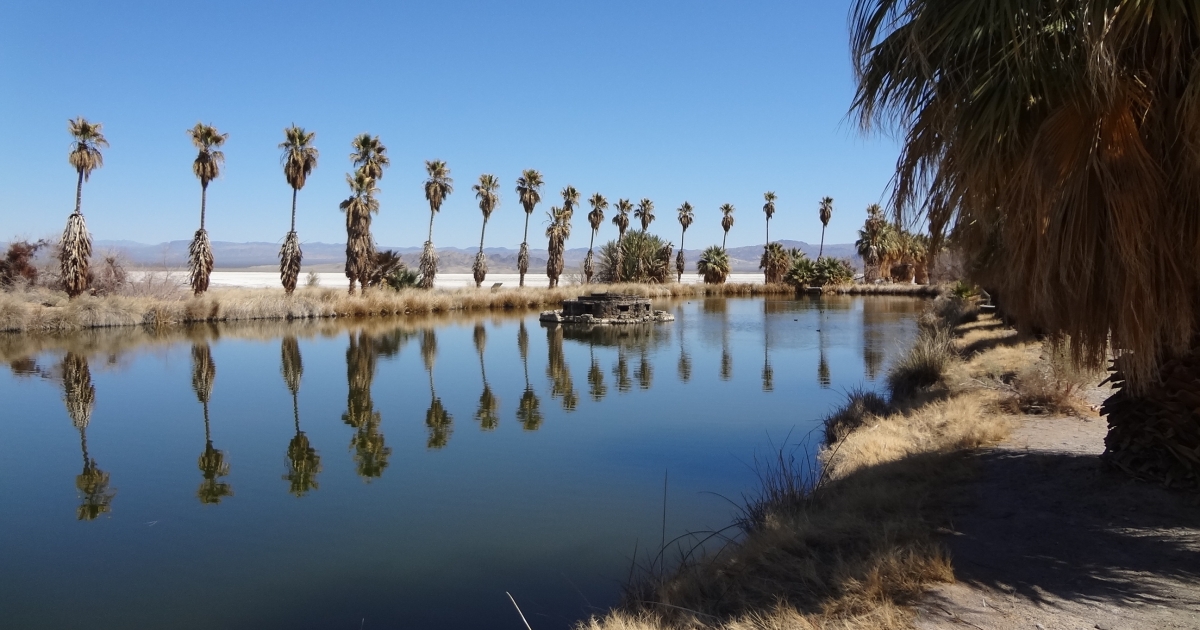 Creating Refuge for Mohave Tui Chub | U.S. Fish & Wildlife Service