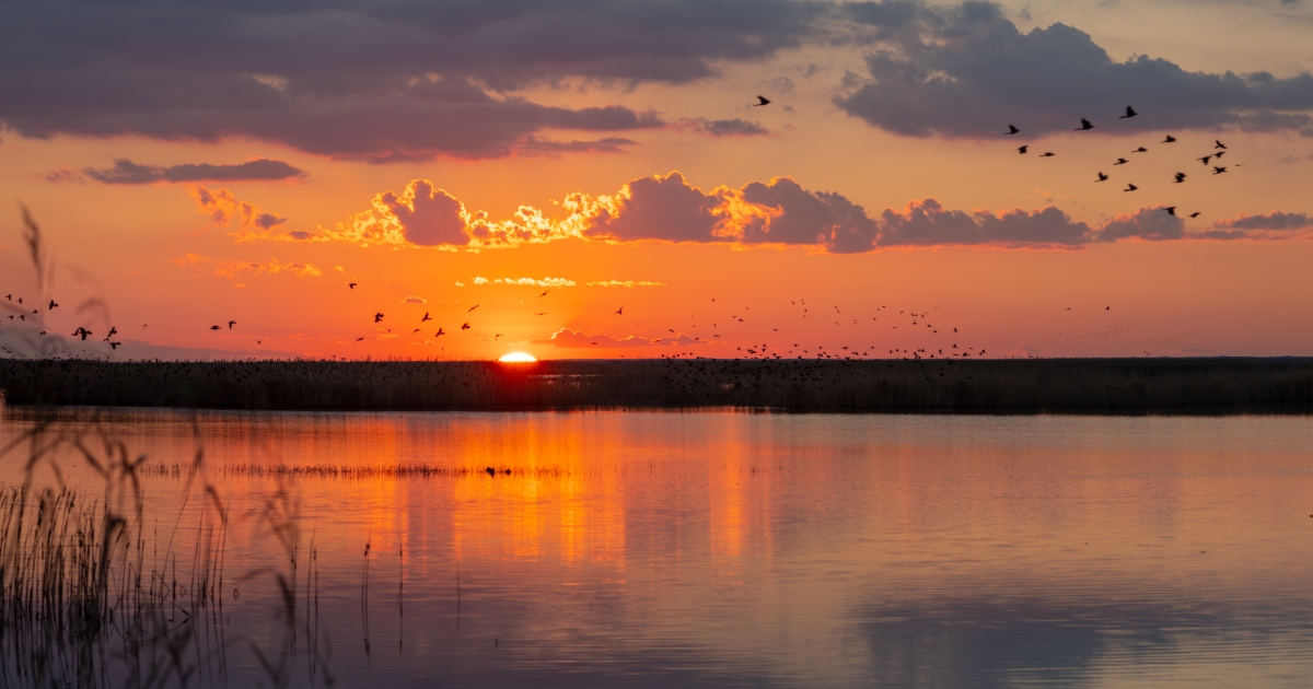 Texas Chenier Plains Refuge Complex Welcomes Waterfowl Hunters | U.S ...
