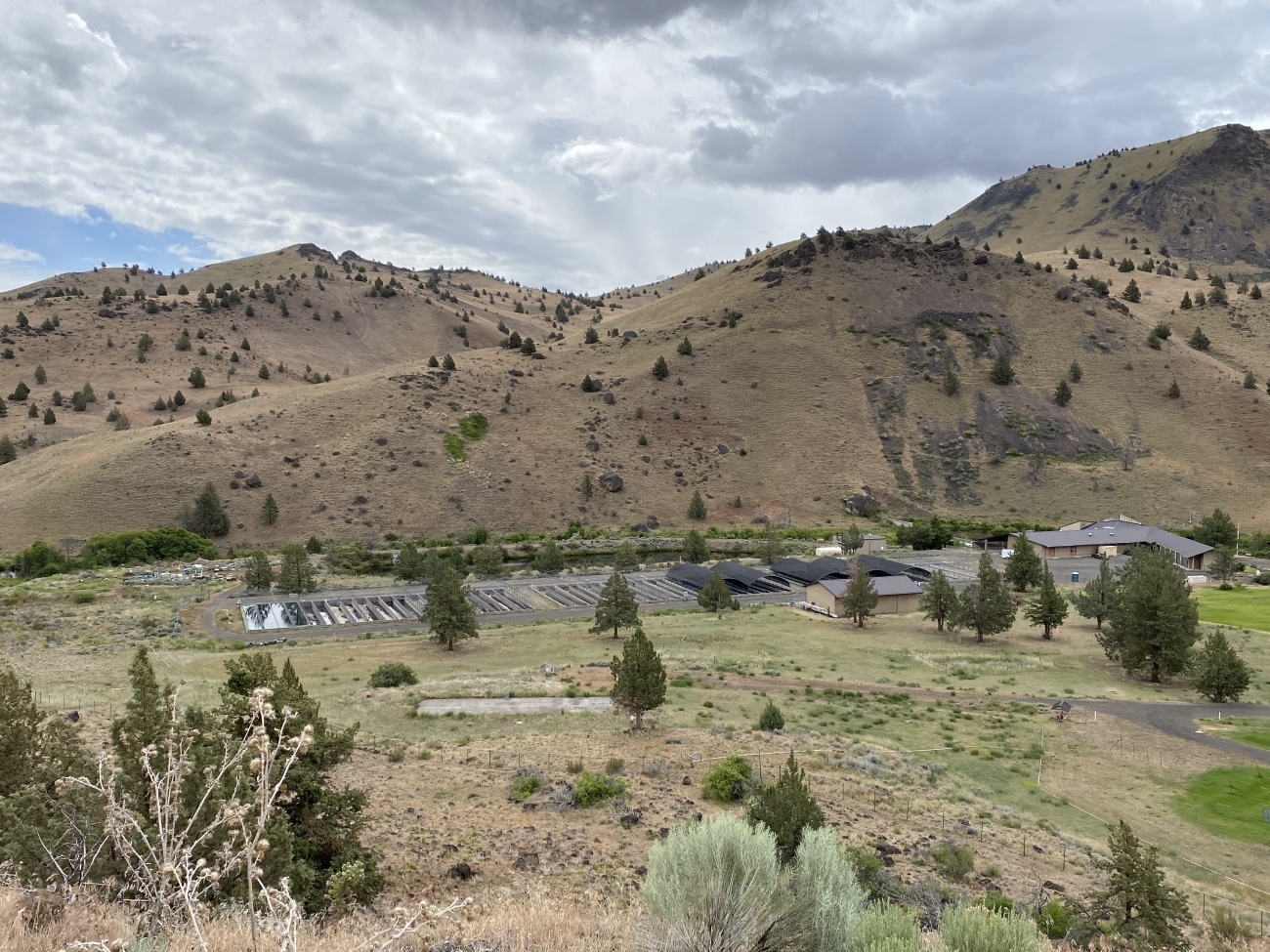 Warm Springs National Fish Hatchery | FWS.gov