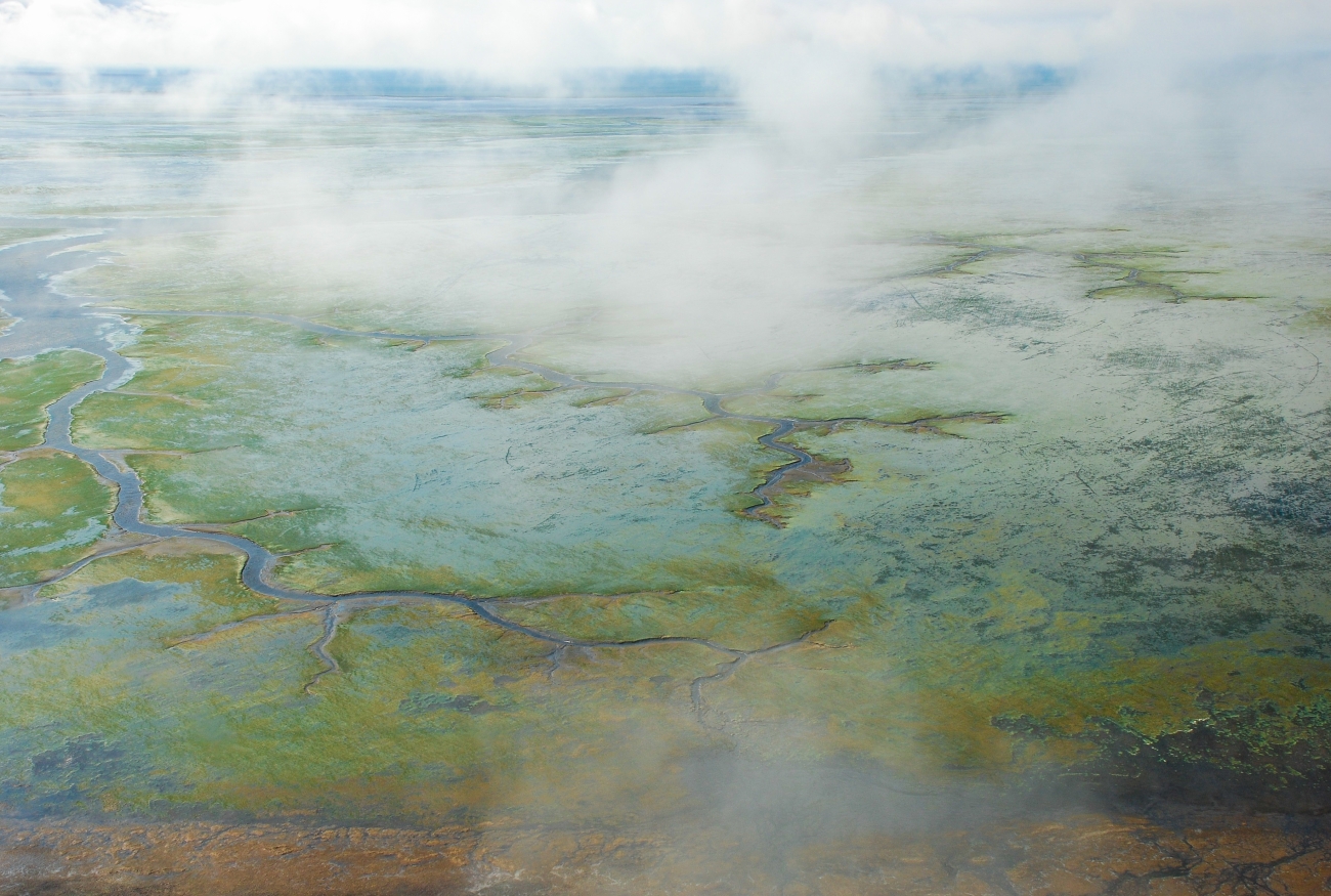 Aerial view of Izembek Lagoon at low tide | FWS.gov