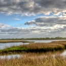 Coastal marsh | FWS.gov
