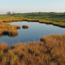 Salt Panne in Marsh at Parker River National Wildlife Refuge | FWS.gov