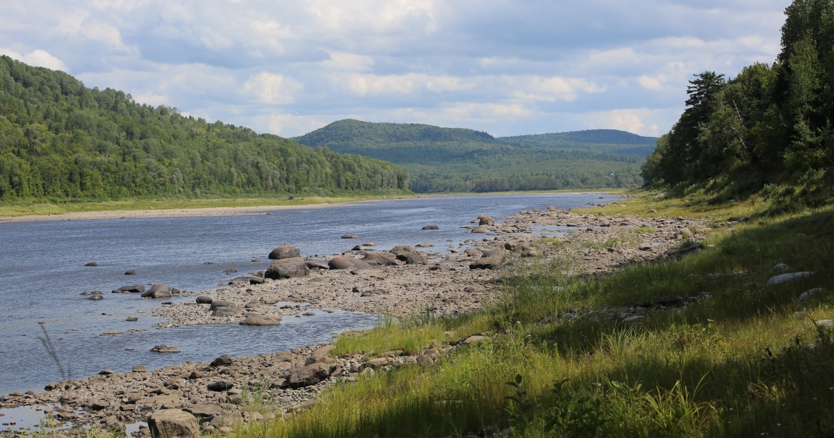 It’s not just Furbish’s lousewort. It’s Kate Furbish’s lousewort. | U.S ...