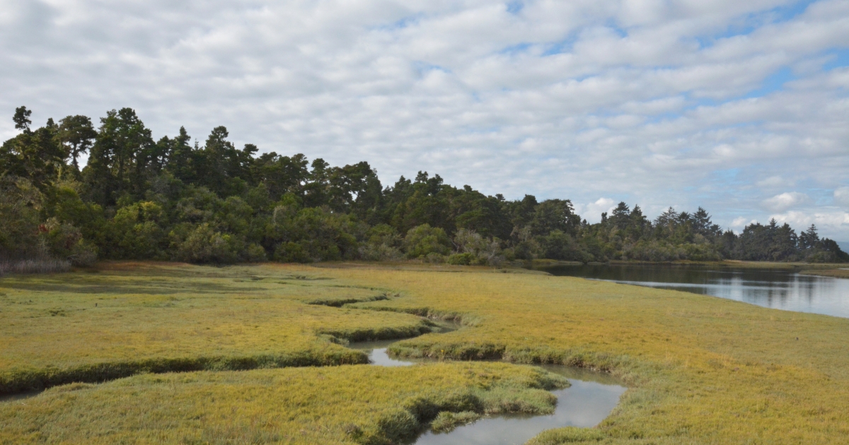 Humboldt Bay National Wildlife Refuge | U.S. Fish & Wildlife Service
