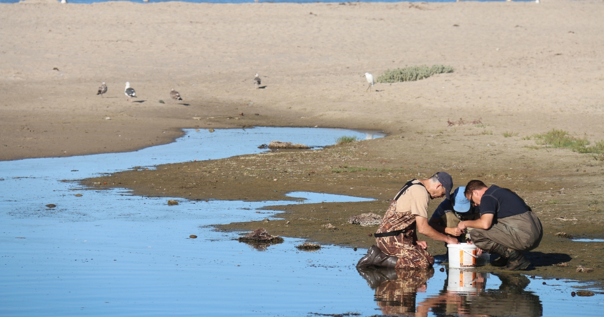 Five-year Status Reviews | U.S. Fish & Wildlife Service