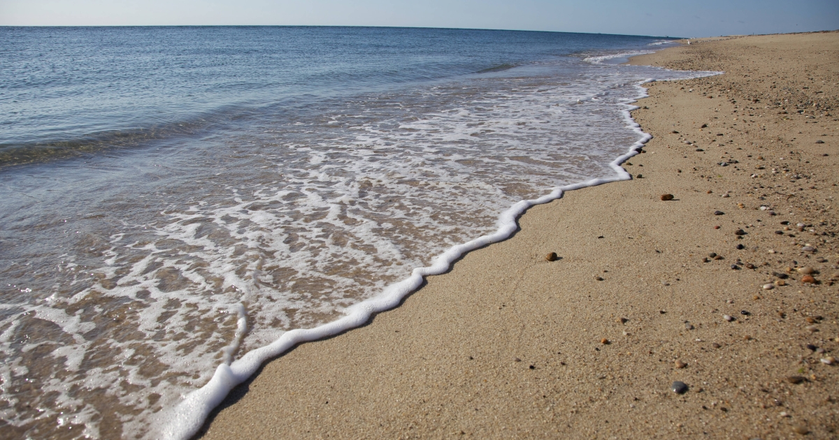 Coastal Barrier Resources System 5-Year Review Map Adoption | U.S. Fish ...