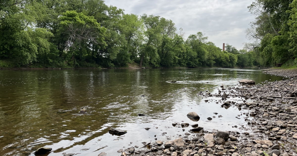 Raritan River Floodplain Reforestation Project | U.S. Fish & Wildlife ...