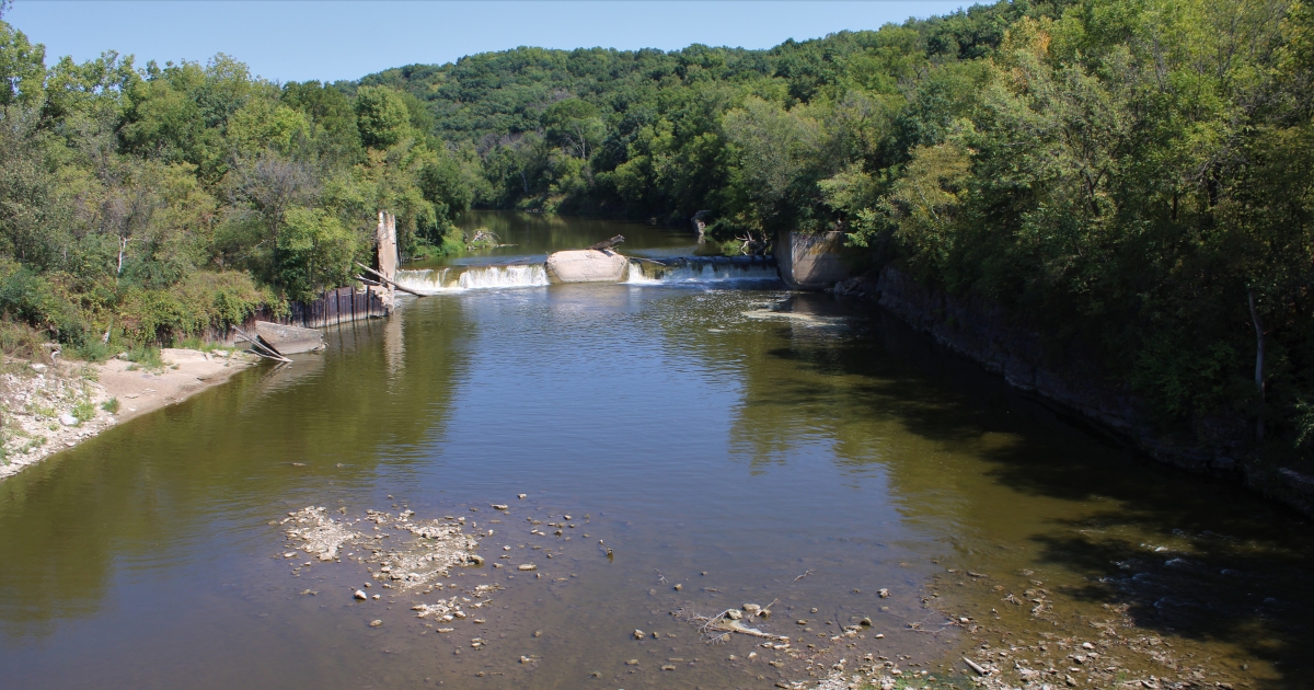 Preserving Our Underwater Animal Heroes | U.S. Fish & Wildlife Service