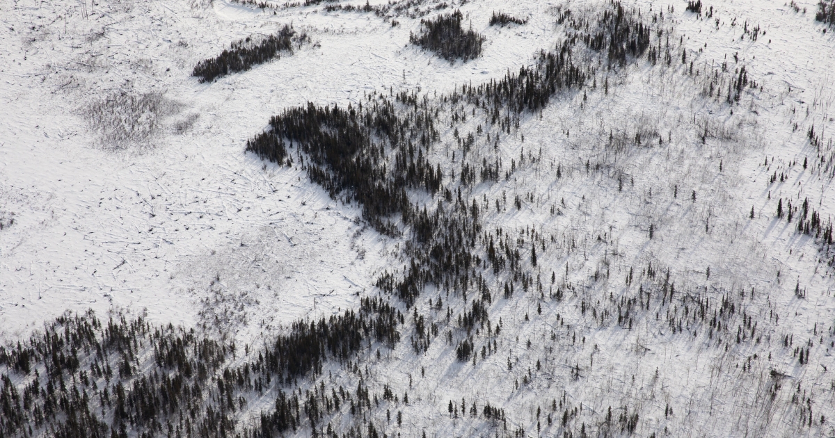 Partnerships in the Permafrost | U.S. Fish & Wildlife Service