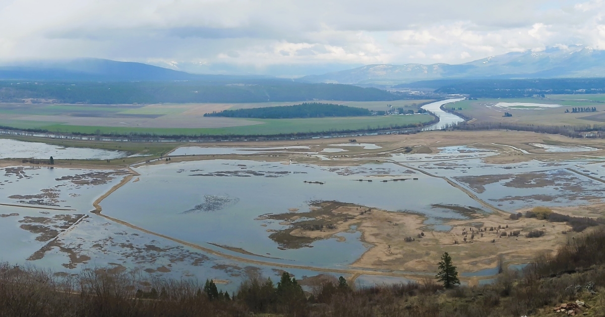 Kootenai National Wildlife Refuge Floodplain Reconnection Project | U.S ...