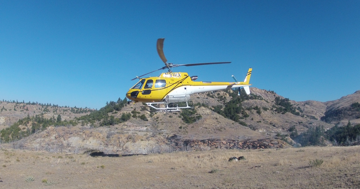 Type 3 helicopters | U.S. Fish & Wildlife Service