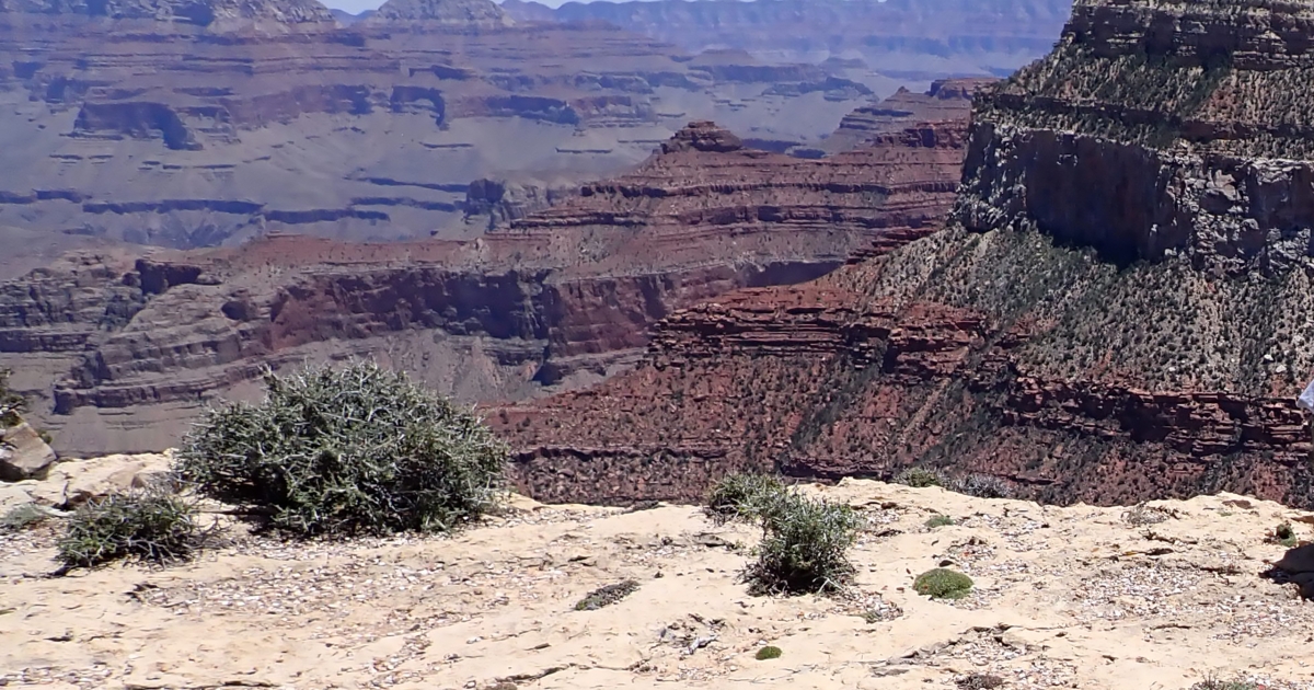 Service Announces Sentry Milk-Vetch Recovery Plan | U.S. Fish ...