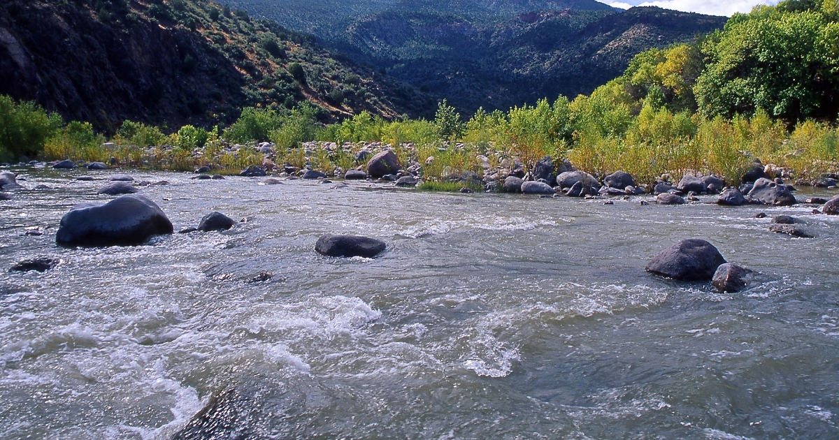 Service Fiscal Officer Cheryl Rodriguez Receives AZGFD 2024 Natural ...