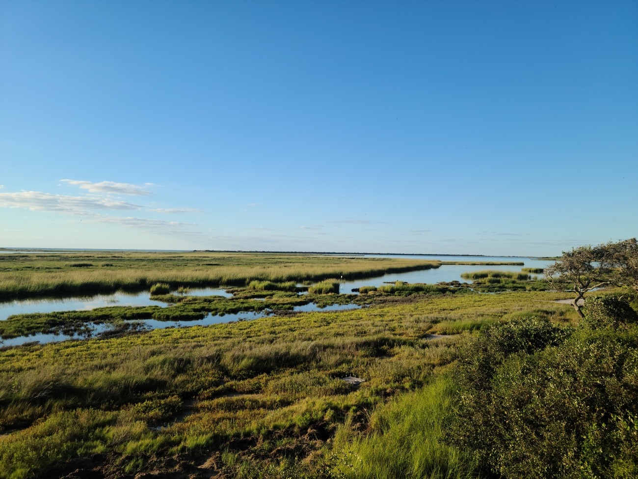 Mustang Slough coastal marsh at Aransas Refuge | FWS.gov