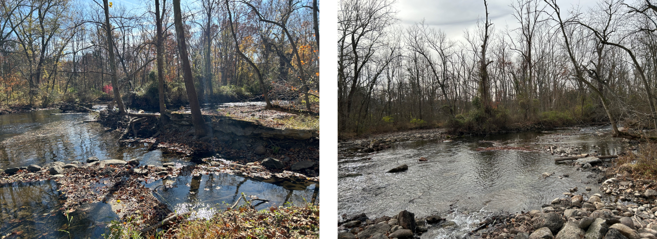 Cedar Grove dam before and after | FWS.gov
