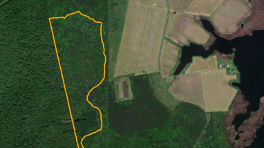 Blackwater NWR Three Trail Avenza Map | FWS.gov