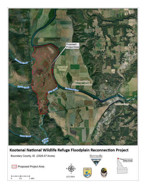 Kootenai National Wildlife Refuge Floodplain Reconnection Project | U.S ...