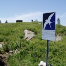 Franklin Island seabird sign | FWS.gov