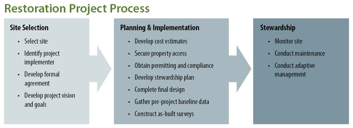Restoration Planning | Portland Harbor
