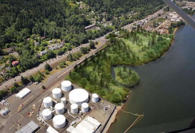 Linnton Mill Restoration Project | Portland Harbor