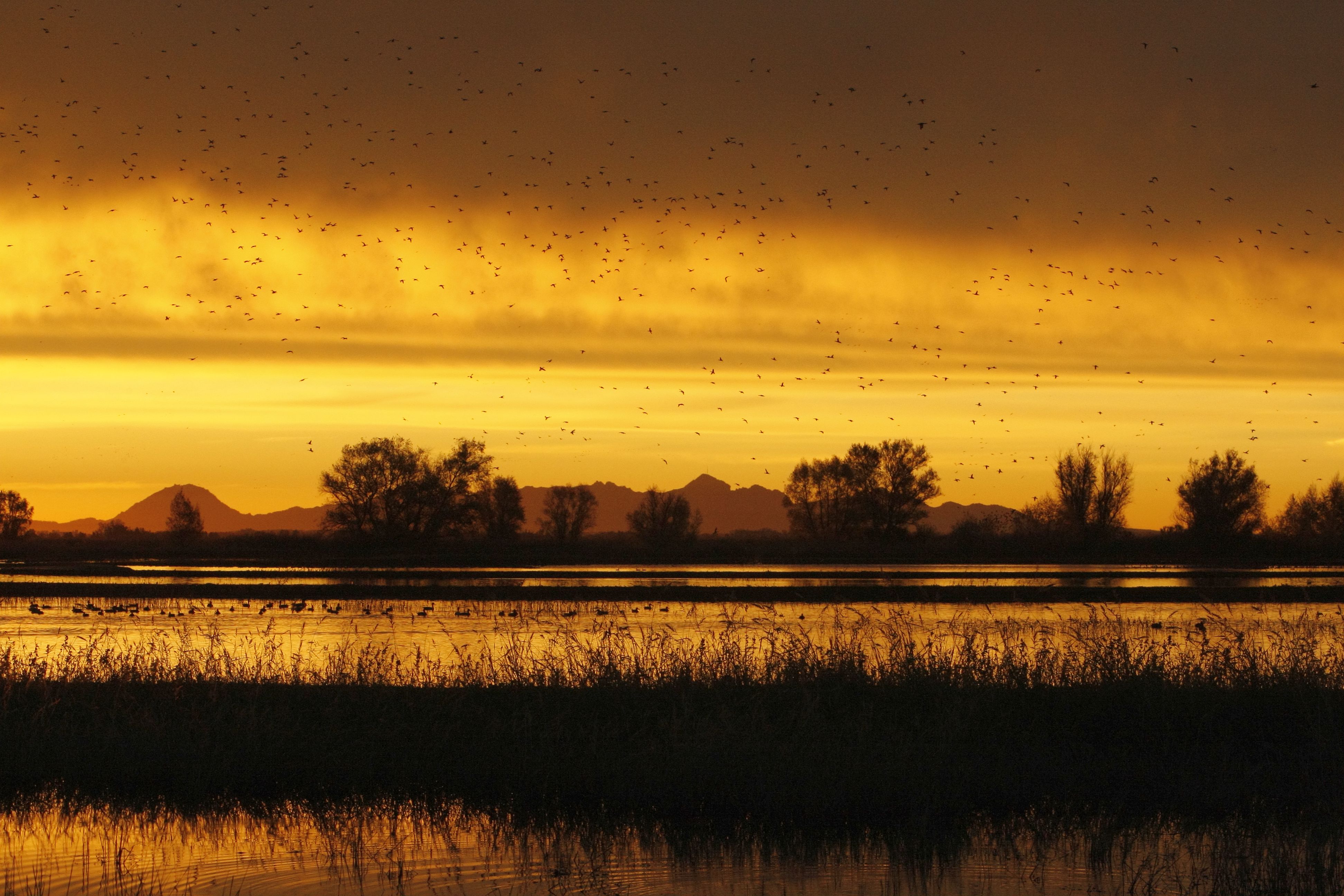 Sunrise at California's Sacramento National Wildlife Refuge | FWS.gov